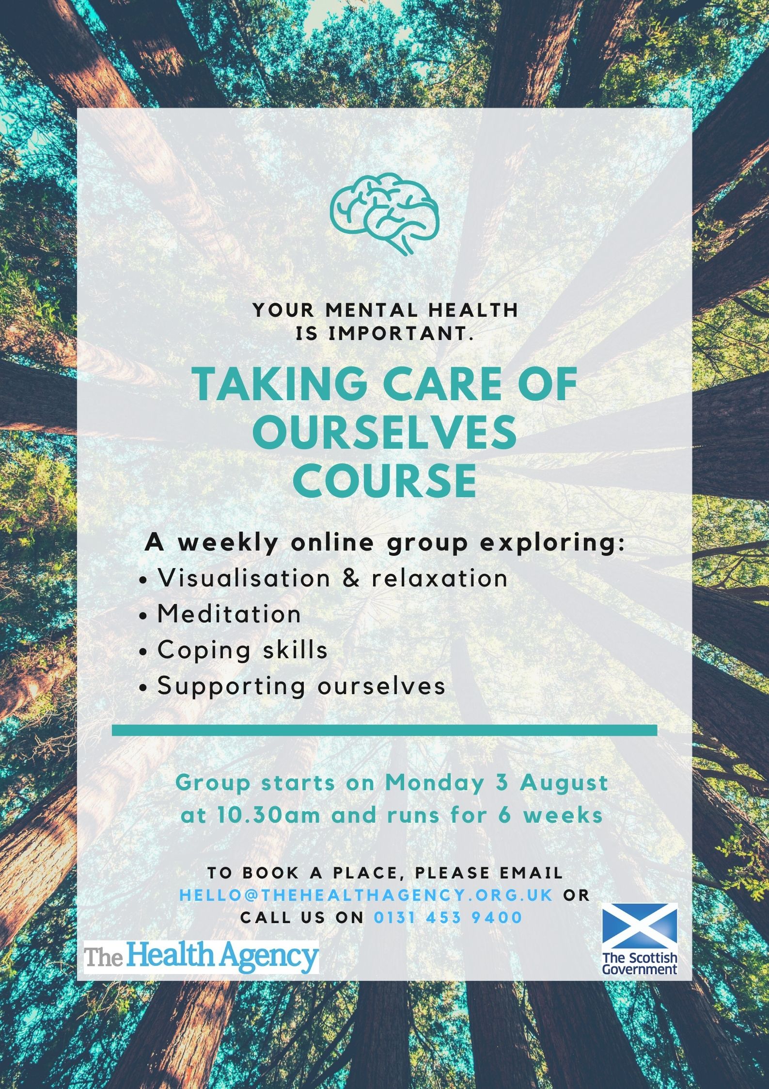 How to Take Care of ourselves, kindly but efficiently - Whale Arts Agency